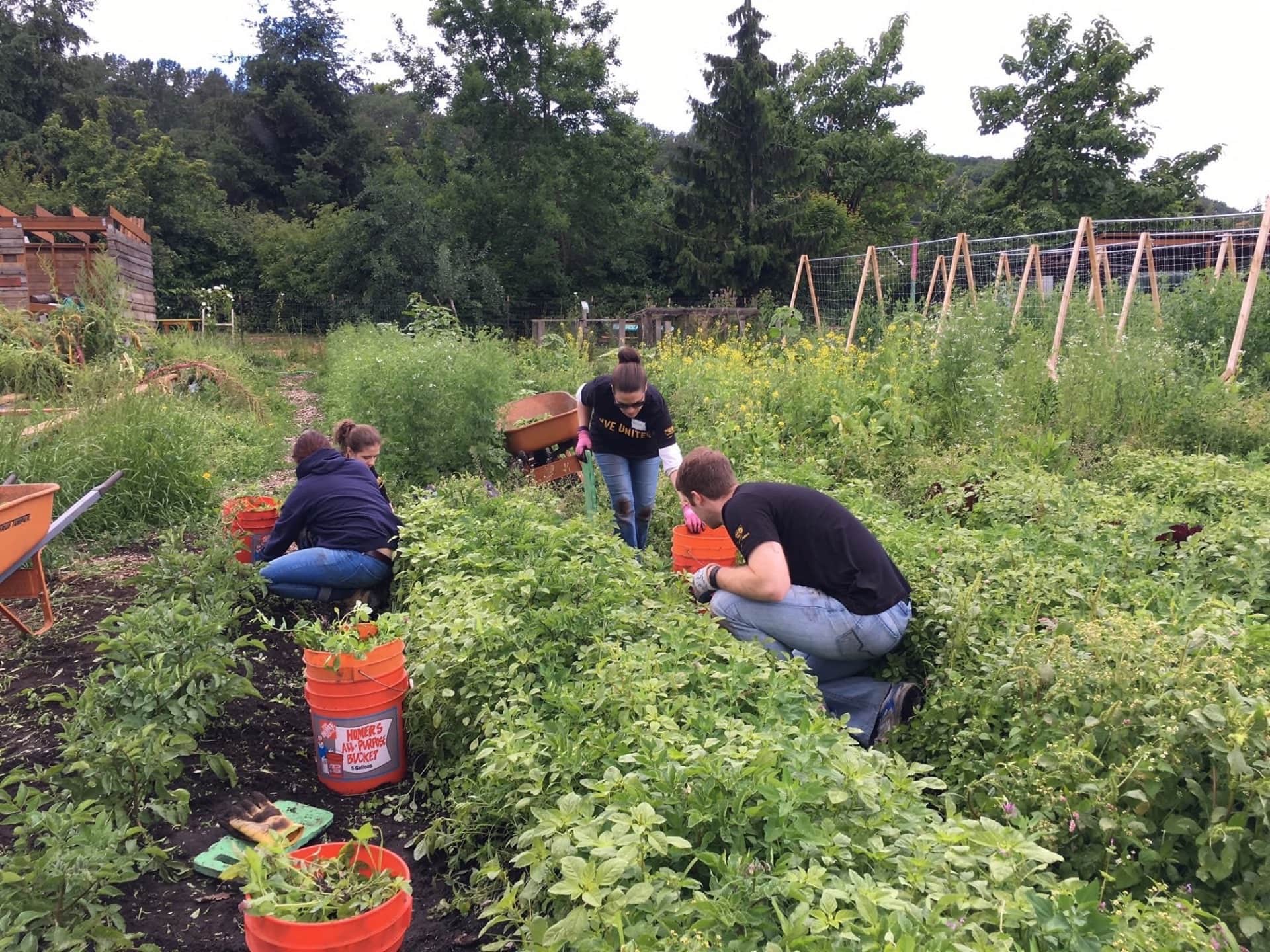 Emerging Leaders Use Their Saturdays to do Good | United Way of King County