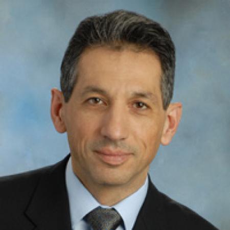 Board of directors and decision makers